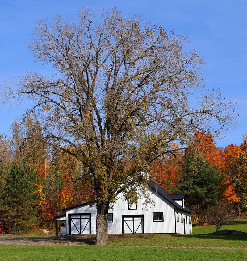 Old Barn in Fall Landscape Eastern Township Bromont, Editorial Photo ...