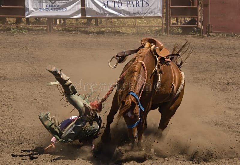 Bronc Rider Takes a Fall stock photo. Image of river, rodeo - 903856