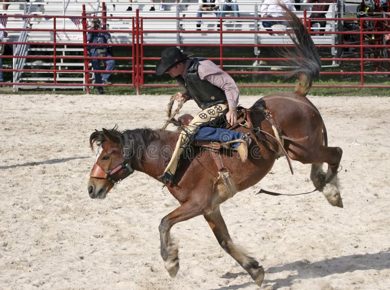 Bronco Riding 4 stock image. Image of bucking, western - 1878507