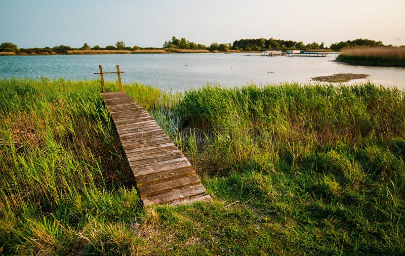 Brondbystrand Park at the Beginning of Spring Stock Photo - Image of ...
