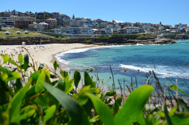 Bronte Beach in Sydney, Australia Stock Image - Image of sunbathing ...
