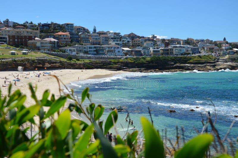 Bronte Beach in Sydney, Australia Stock Photo - Image of trees, beach ...