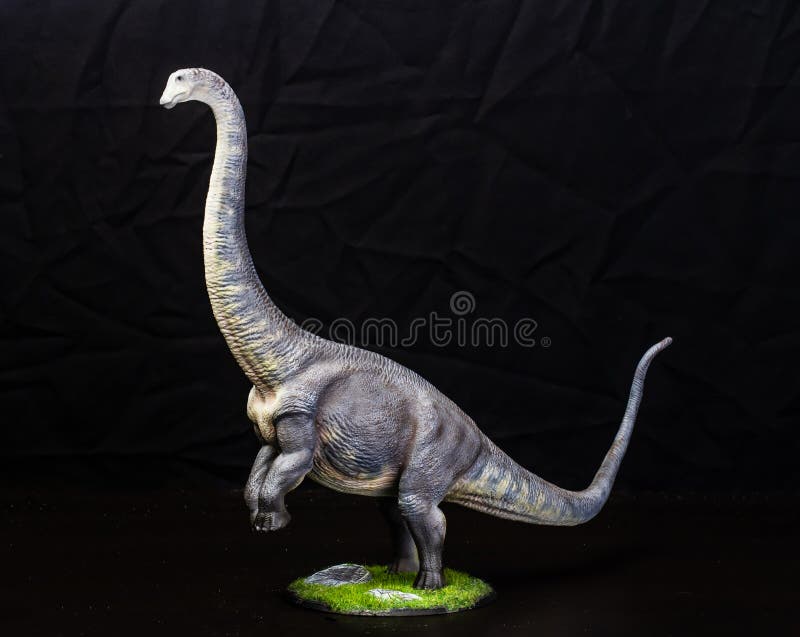 Dinosaur , Brontosaurus Isolated Background Stock Photo - Image of ...