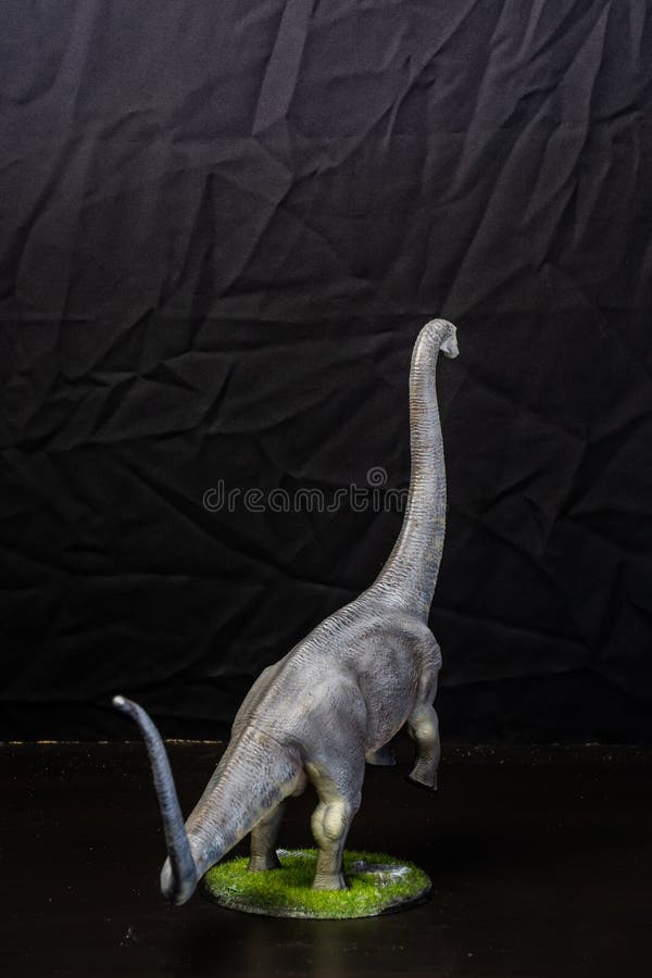 The Brontosaurus Dinosaur in the Dark Stock Photo - Image of drawing ...