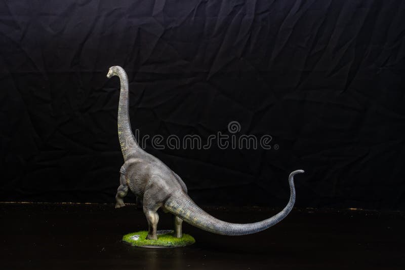 The Brontosaurus Dinosaur in the Dark Stock Image - Image of ...