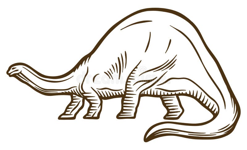 Brontosaurus Line Drawing Stock Illustrations – 331 Brontosaurus Line ...