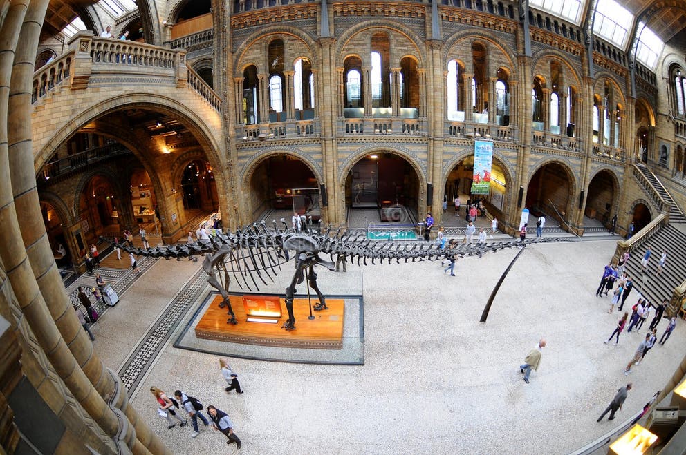 The Brontosaurus Skeleton, the Hub of the Museum Editorial Photo ...