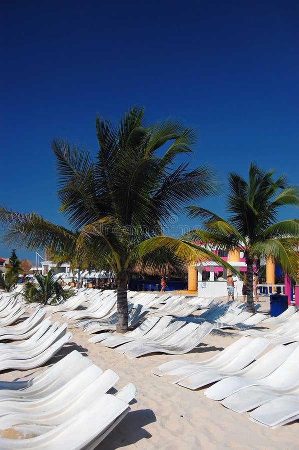 Le Plus Beau Bronzage Sur La Plage Photo stock - Image du plage, course ...