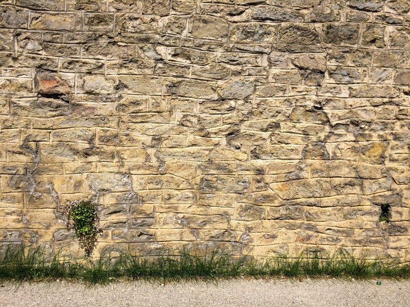 Bronze Age Stone Wall Texture Invaded by Some Green Grasses Stock Image ...