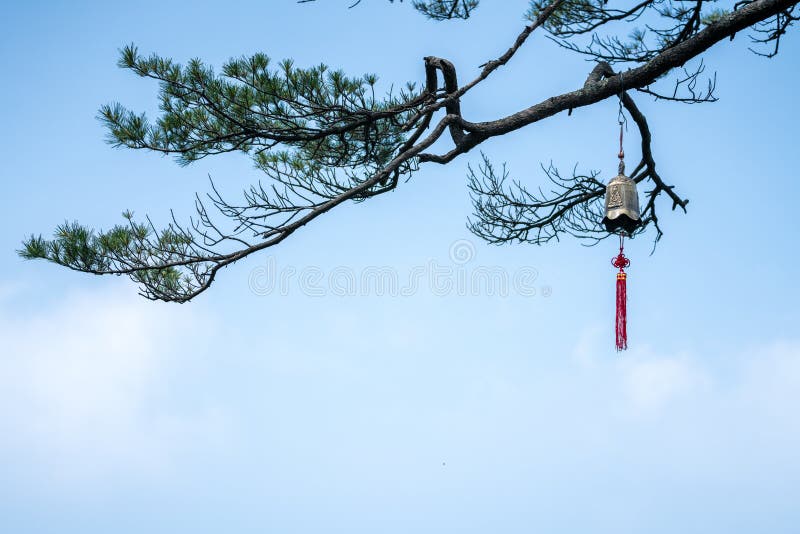 The Copper Bell on the Pine Stock Photo - Image of pine, bell: 107163110