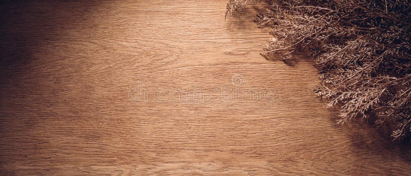 Bronze Branch on Oak Texture Background Stock Photo - Image of timber ...