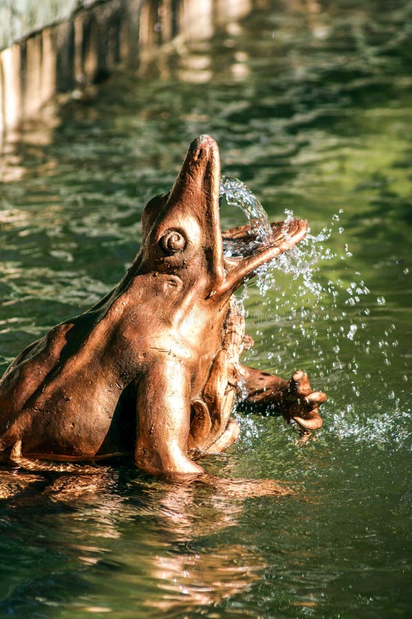 Bronze Frog Making a Mating Call Stock Image - Image of environment ...
