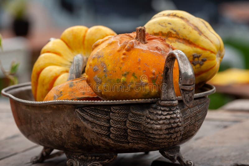 A bronze fruit bawl stock photo. Image of bronze, pumpkin - 199139976