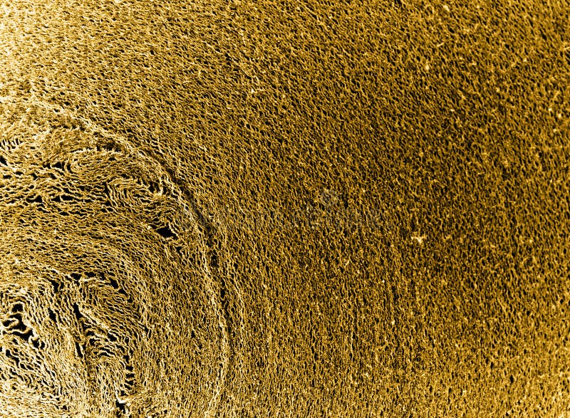 World Texture. Realistic and Detailed World Texture Stock Illustration ...