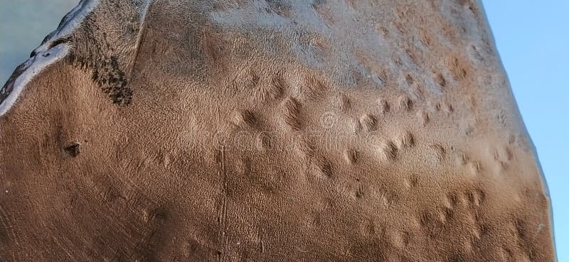 Bronze Metal Surface. Uneven Metal Texture with Scratches, Gouges and ...