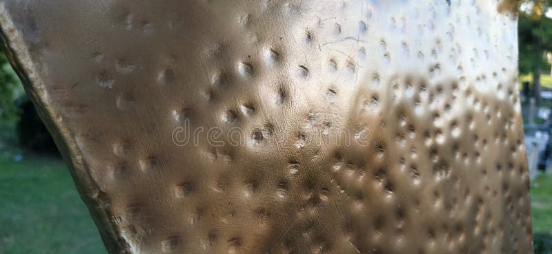 Bronze Metal Surface. Uneven Metal Texture with Scratches, Gouges and ...