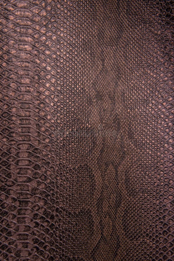 Metallic Bronze Snake Skin Texture Stock Photos - Free & Royalty-Free ...