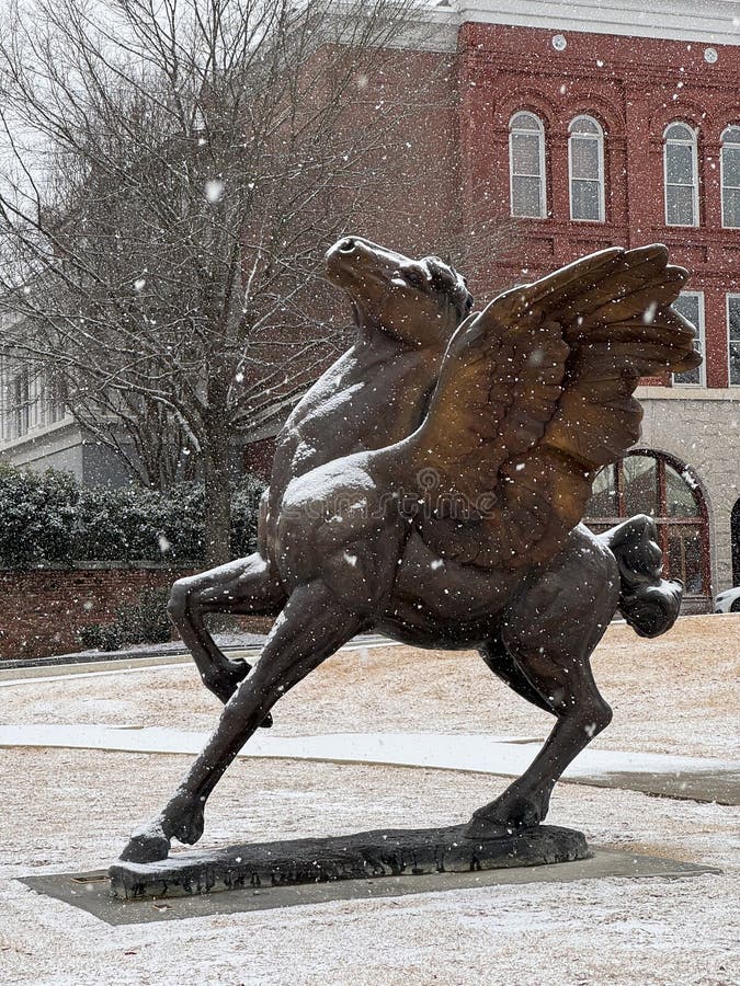 5,482 Pegasus Stock Photos - Free & Royalty-Free Stock Photos from ...