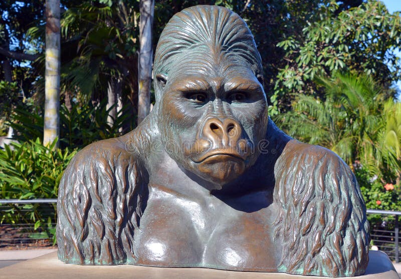Statua Della Gorilla Allo Zoo Di San Diego Fotografia Stock - Immagine ...