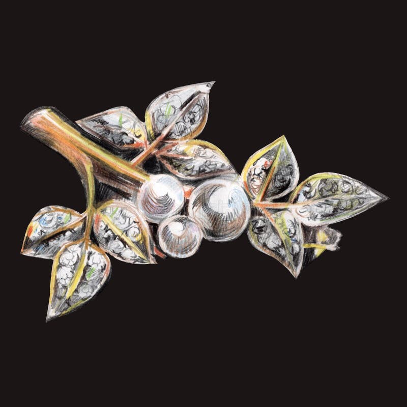 Watercolor Pearl Isolated on White Background Stock Illustration ...