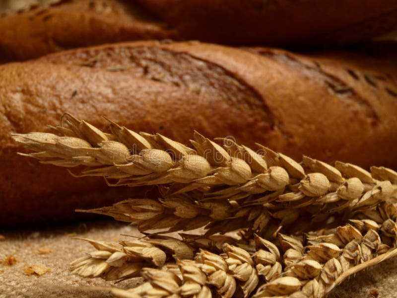 Brood stock foto. Image of gebroken, goederen, voedsel - 14258322