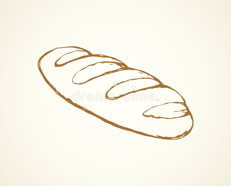 Brood Van Lang Brood Vector Tekening Vector Illustratie - Illustration ...