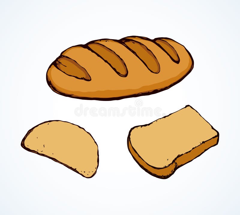Brood Van Lang Brood Vector Tekening Vector Illustratie - Illustration ...