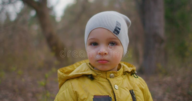 A Brooding Boy of 2 Years in the Forest Looks at the Camera. Charming ...
