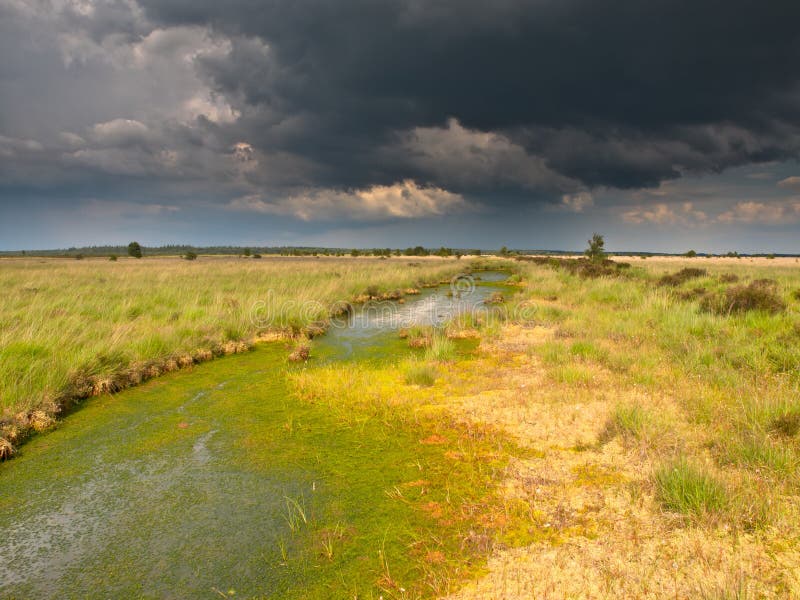 Brooding summer storm stock image. Image of brooding - 25447857