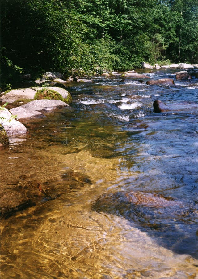 Brook stock photo. Image of nature, away, rural, grass - 13096348