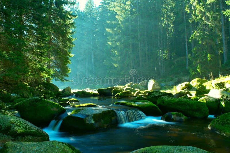 Brook stock photo. Image of cascade, motion, outdoor - 16991196