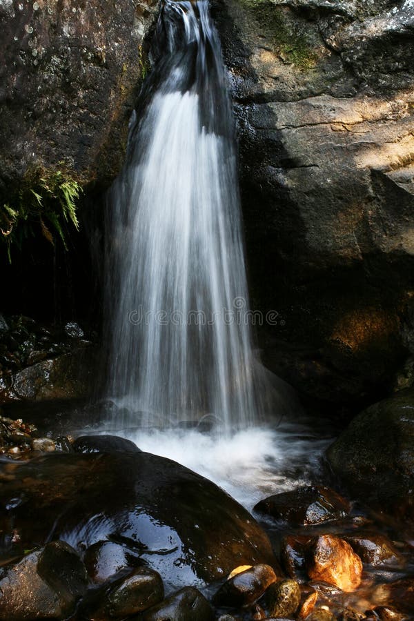 Brook stock image. Image of tree, rock, watercourse, water - 3439811