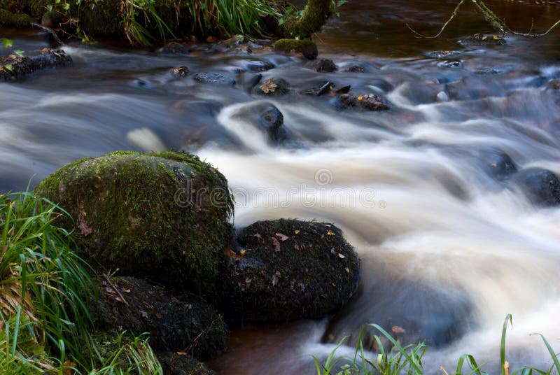 Brook stock photo. Image of brook, rock, stream, green - 7118472