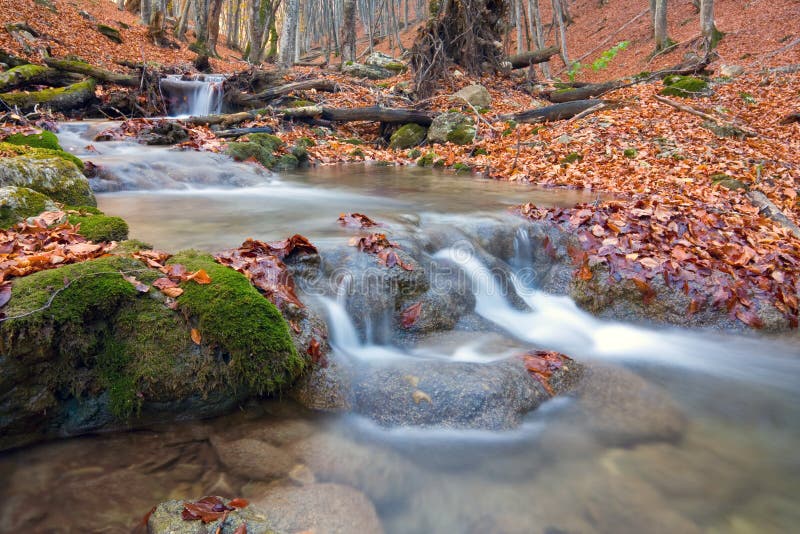 Waterfall at Mountain River in Autumn Forest at Sunset Stock Image ...