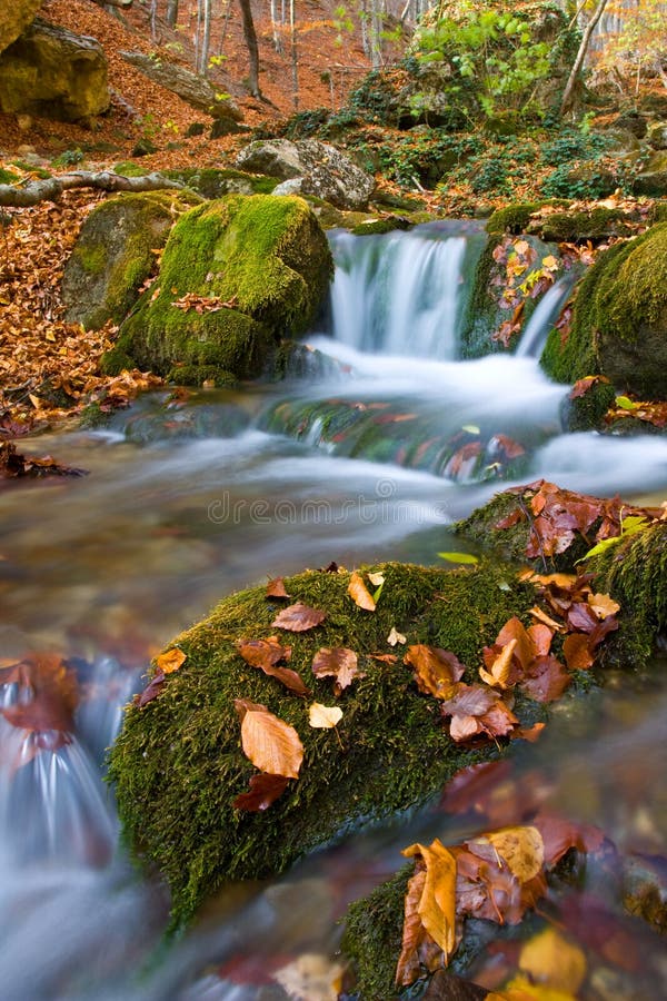 Brook in autumn forest stock photo. Image of fluid, peace - 17422706