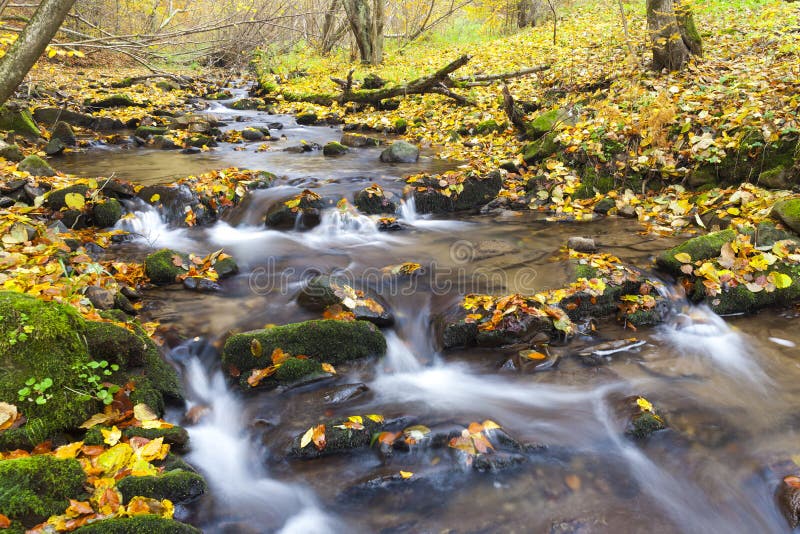 Brook in autumn stock photo. Image of creek, flora, fall - 48694364