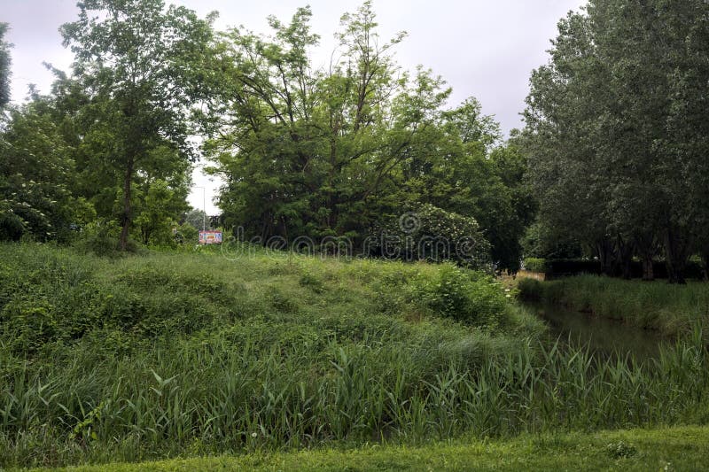 Brook Bordered by Trees with Their Reflections Casted in the Water ...