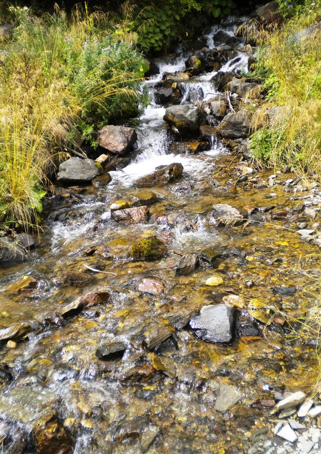 Brook stock image. Image of flows, forest, riffle, cleanly - 88134019