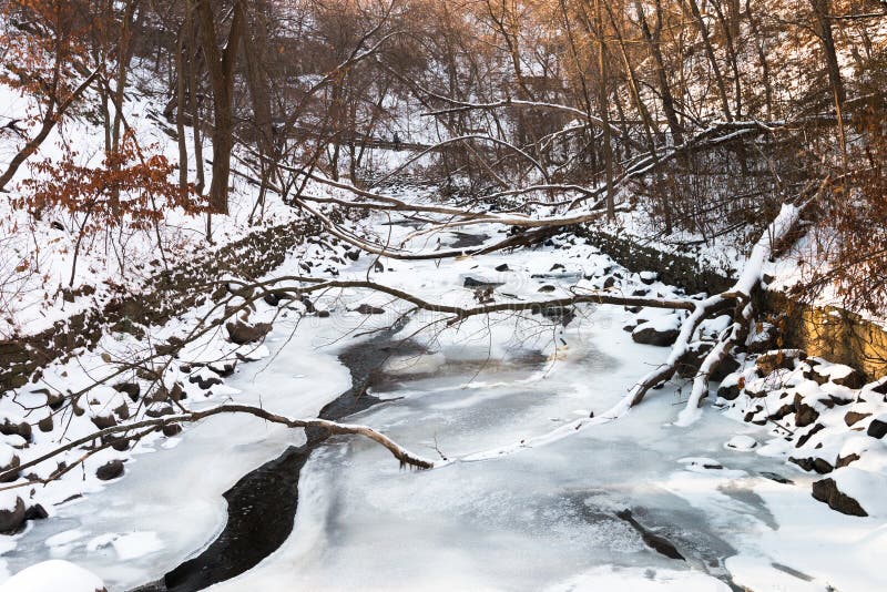 Brook Covered with Ice in a Park Stock Image - Image of wood, bush ...