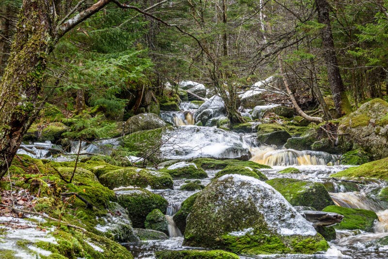 Brook Falls in Deep Forest with Rocks and Moss Stock Image - Image of ...
