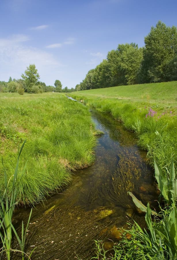 Brook flow landscape stock photo. Image of brook, stream - 3138284