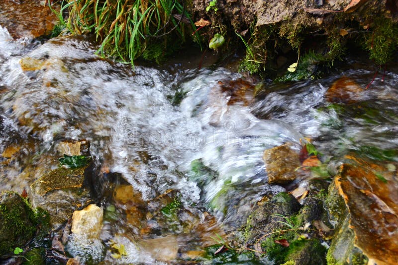 Brook stock image. Image of quick, clear, swift, torrent - 66511097