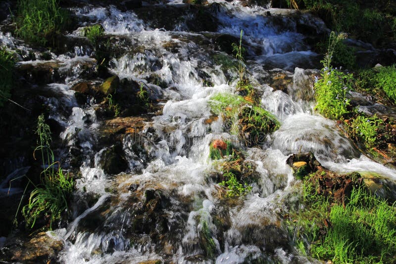 Brook stock image. Image of pure, rapid, clear, tide - 88463111