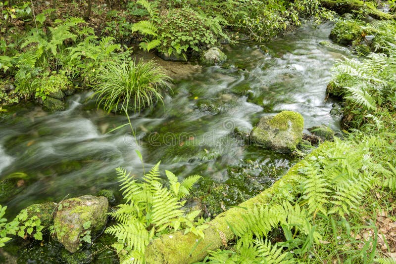 242 Gentle Brook Stock Photos - Free & Royalty-Free Stock Photos from ... 242 Gentle Brook Stock Photos - Free & Royalty-Free Stock Photos from ...