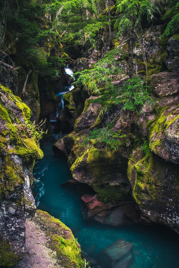 A Brook Flowing through Moss Covered Boulders. [Portrait] Stock Photo ...