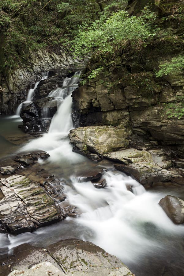 Brook Flowing from Waterfall Stock Image - Image of brook, clear: 114691053