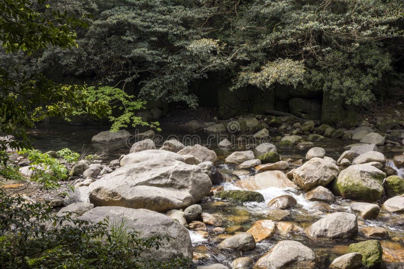 Brook flowing among stones stock image. Image of japan - 66325357