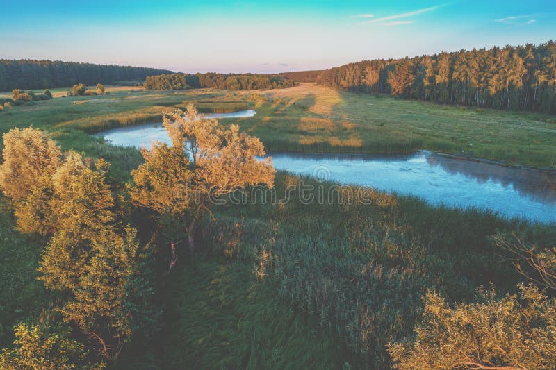 The Brook Flows through the Field Stock Image - Image of color, river ...