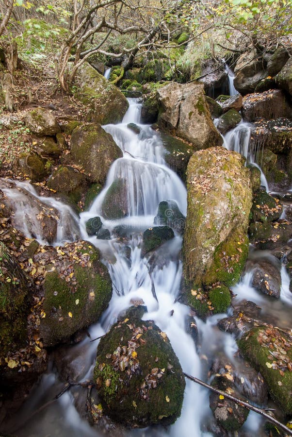 Brook in forest stock photo. Image of landscape, natural - 28207254