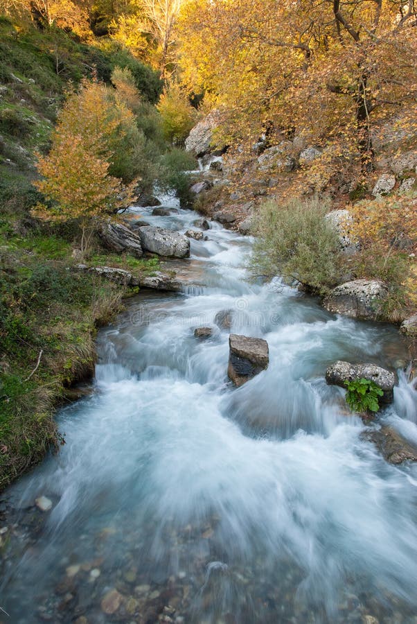 Brook in forest stock photo. Image of scenic, flow, creek - 38069702